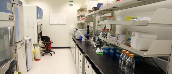 Laboratory Imaging – TMMCH Hospital